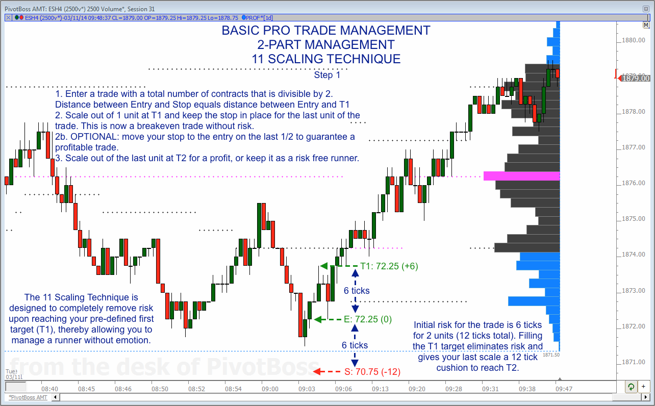 Pro Trade Management – PivotBoss Masters